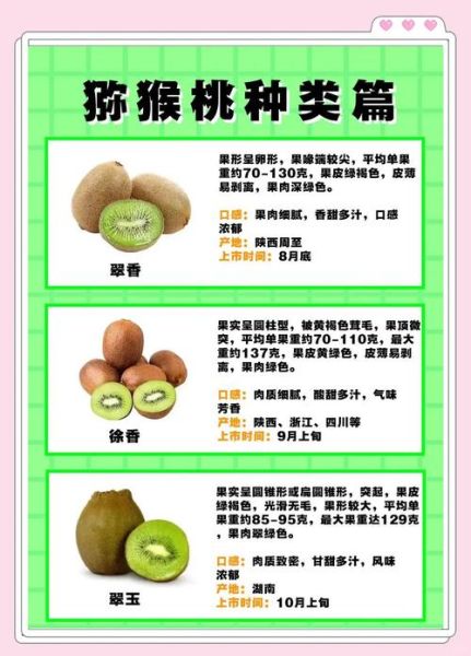 经常吃猕猴桃有什么好处_猕猴桃的营养价值与功效-第2张图片-山城妙识