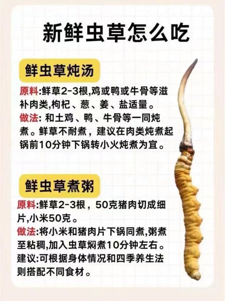 虫草的功效与作用价格_多少钱一克才合理-第3张图片-山城妙识 虫草的功效与作用价格_多少钱一克才合理-第3张图片-山城妙识