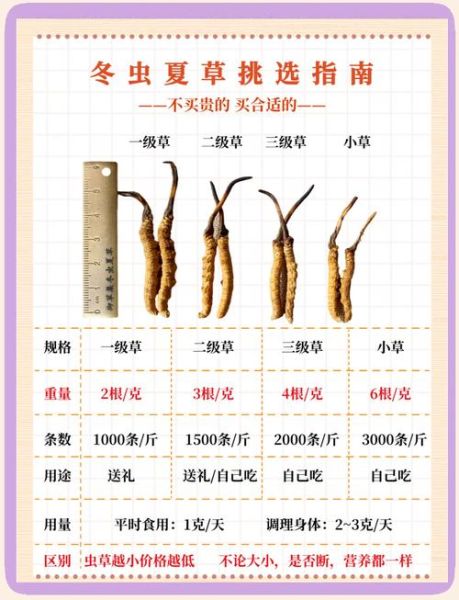 虫草的功效与作用价格_多少钱一克才合理-第2张图片-山城妙识 虫草的功效与作用价格_多少钱一克才合理-第2张图片-山城妙识