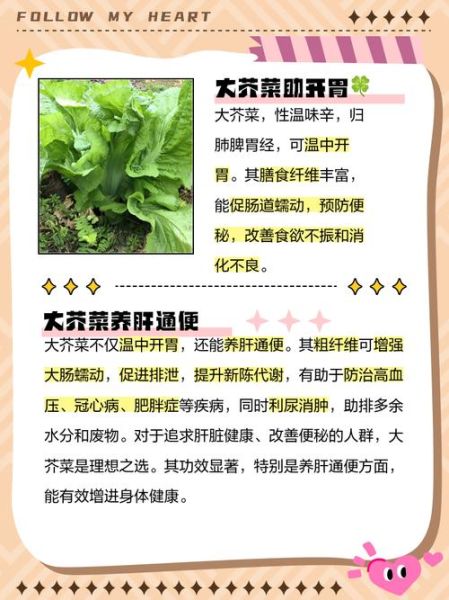 芥菜图片功效与作用_芥菜怎么吃最营养-第2张图片-山城妙识 芥菜图片功效与作用_芥菜怎么吃最营养-第2张图片-山城妙识