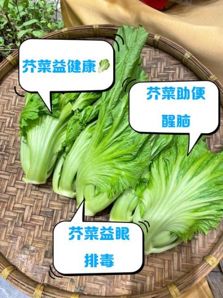 芥菜图片功效与作用_芥菜怎么吃最营养-第3张图片-山城妙识 芥菜图片功效与作用_芥菜怎么吃最营养-第3张图片-山城妙识