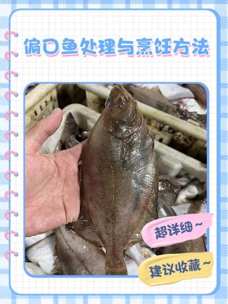 偏口鱼和鸦片鱼的区别_怎么区分偏口鱼鸦片鱼-第3张图片-山城妙识