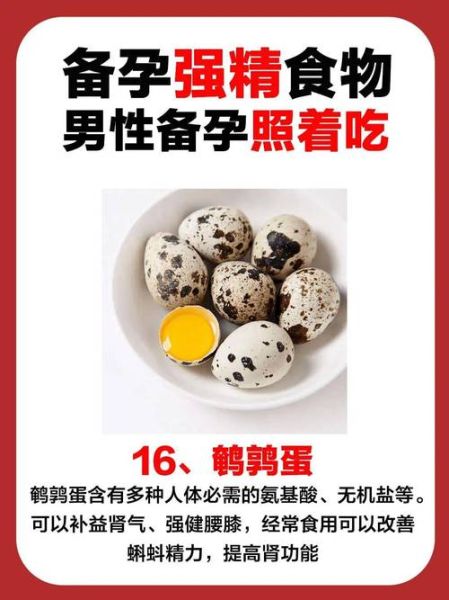 男人备孕吃什么提高精子质量_男人备孕吃什么提高精子质量-第3张图片-山城妙识