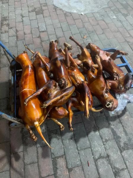 狗肉图片_狗肉图片是否违法-第1张图片-山城妙识