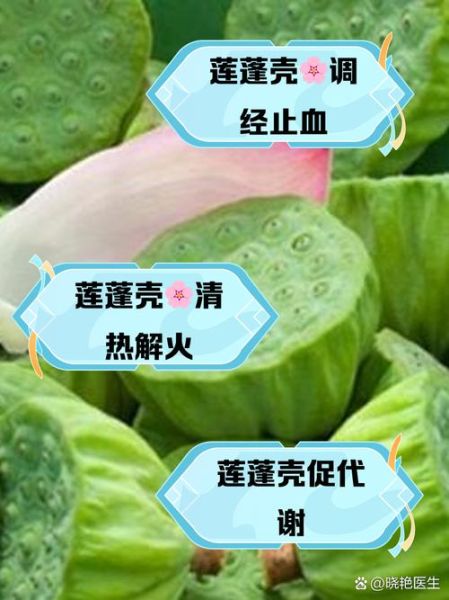 莲蓬壳的功效与作用_莲蓬壳煮水有什么功效-第1张图片-山城妙识