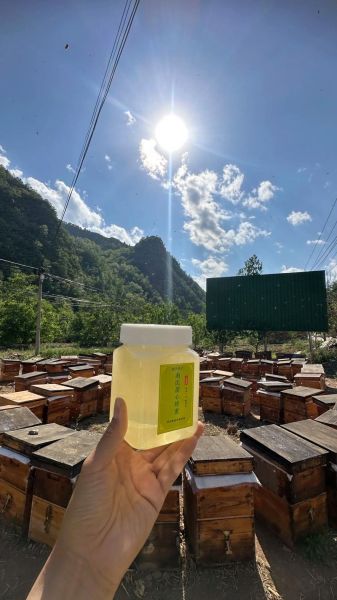 真正的槐花蜜是啥样_槐花蜜真假辨别方法-第2张图片-山城妙识