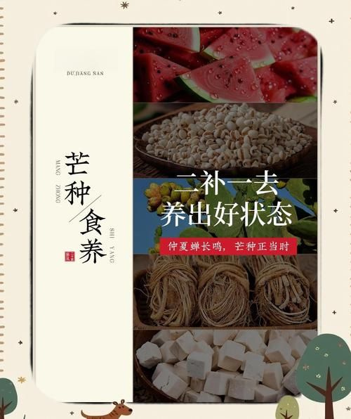 芒种养生吃什么_芒种饮食注意事项-第3张图片-山城妙识
