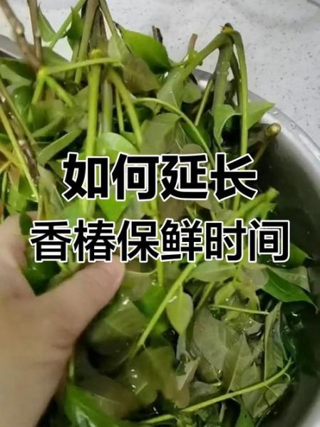香椿怎么腌制_香椿如何长期保存-第1张图片-山城妙识
