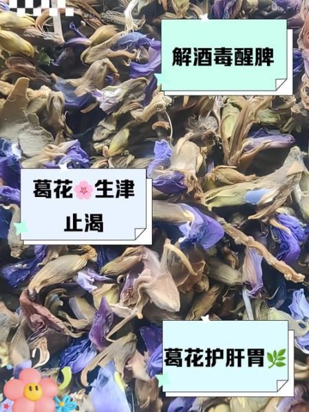 葛花泡水喝的禁忌_葛花哪些人不能吃-第1张图片-山城妙识