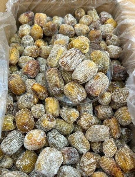 蜜枣粽子怎么做_蜜枣粽子做法视频详细步骤-第1张图片-山城妙识