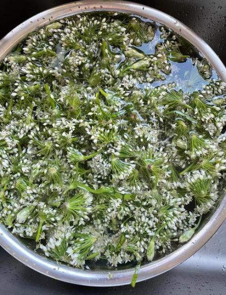 韭菜可以做韭菜花酱吗_韭菜花酱制作方法-第1张图片-山城妙识