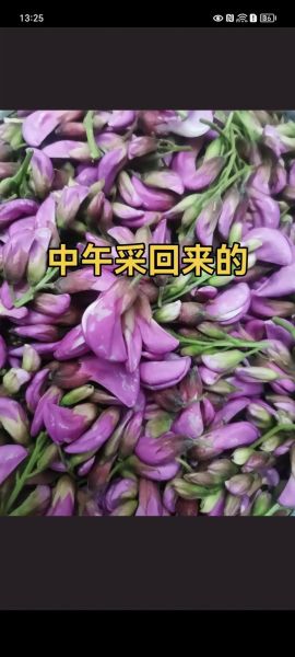 紫色洋槐花怎么吃_紫色洋槐花怎么做好吃-第1张图片-山城妙识