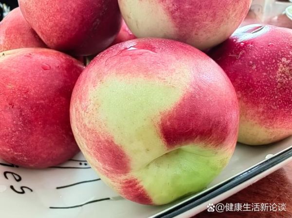 蜜枣桃产地在哪里_蜜枣桃是哪里的特产-第2张图片-山城妙识 蜜枣桃产地在哪里_蜜枣桃是哪里的特产-第2张图片-山城妙识