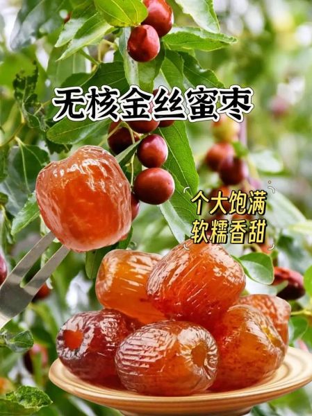 蜜枣桃产地在哪里_蜜枣桃是哪里的特产-第3张图片-山城妙识 蜜枣桃产地在哪里_蜜枣桃是哪里的特产-第3张图片-山城妙识