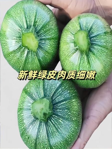 云南小瓜怎么炒好吃_云南小瓜和云南小南瓜区别-第3张图片-山城妙识 云南小瓜怎么炒好吃_云南小瓜和云南小南瓜区别-第3张图片-山城妙识