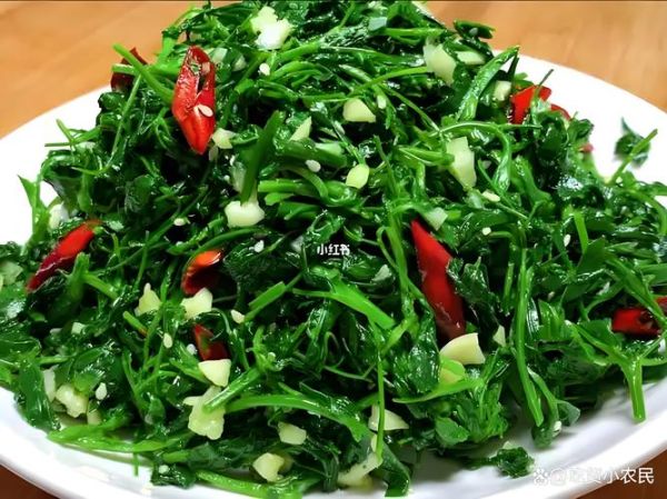 苜蓿菜怎么吃最好_苜蓿菜的做法大全-第2张图片-山城妙识