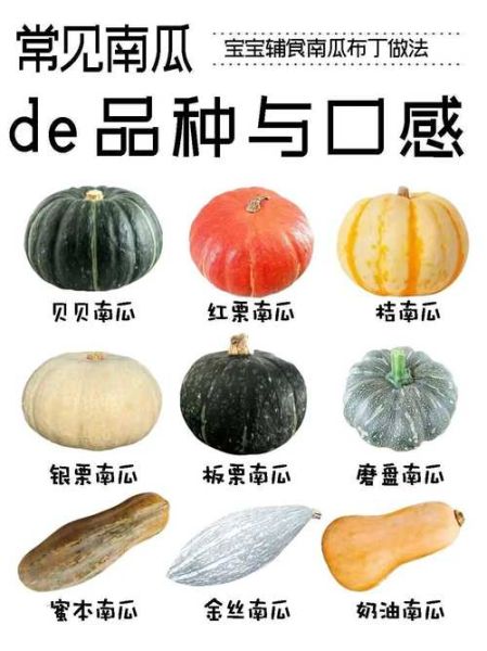 南瓜有哪些品种_南瓜种类怎么区分-第1张图片-山城妙识 南瓜有哪些品种_南瓜种类怎么区分-第1张图片-山城妙识