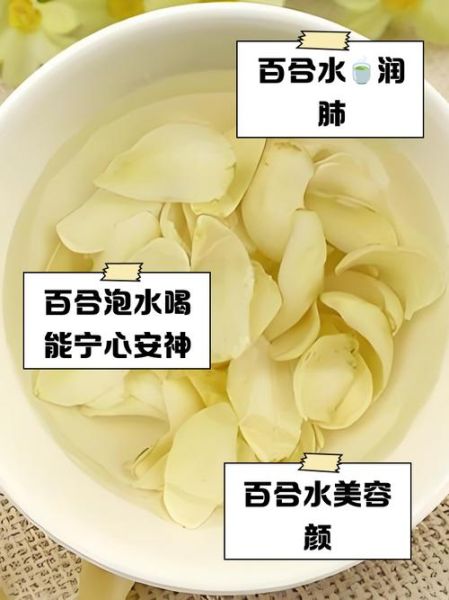 百合花的功效与作用危害_百合花泡水喝有副作用吗-第1张图片-山城妙识