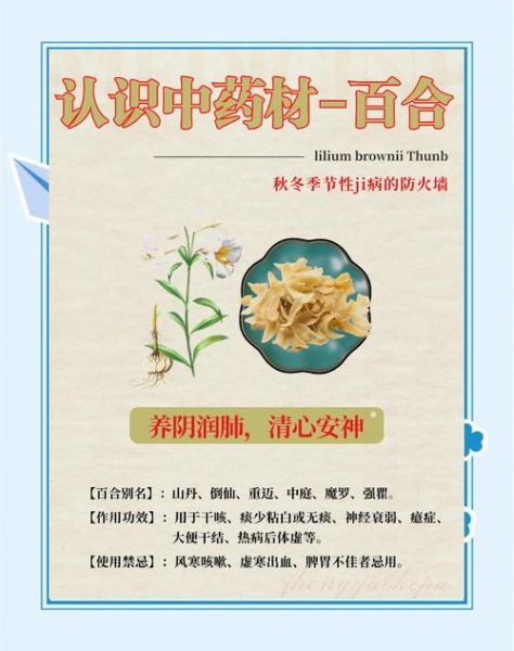 百合花的功效与作用危害_百合花泡水喝有副作用吗-第2张图片-山城妙识