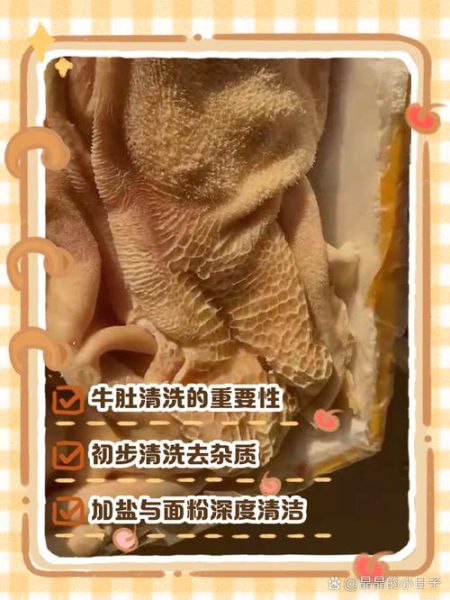 牛肚怎么洗才能洗白_牛肚去黑膜的正确方法-第3张图片-山城妙识