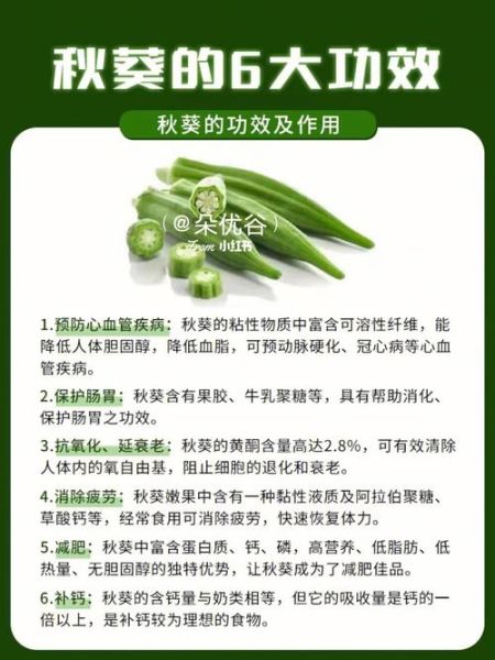 男人吃秋葵有什么好处_秋葵对男性真的有用吗-第1张图片-山城妙识