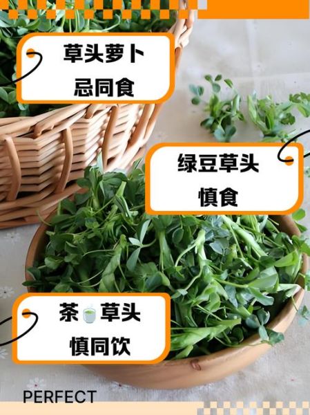 孕妇能不能吃草头_草头孕妇能吃吗-第3张图片-山城妙识