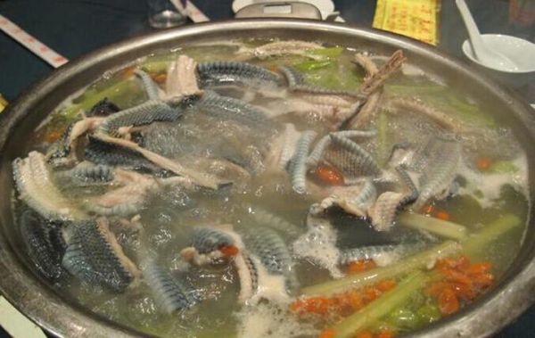 蛇肉火锅怎么做_蛇肉火锅好吃吗-第2张图片-山城妙识