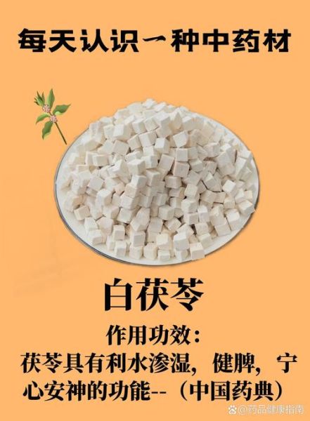 白茯苓的功效与作用及禁忌_白茯苓怎么吃效果最好-第1张图片-山城妙识
