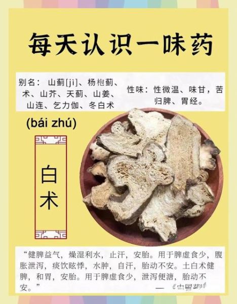 苍术能祛湿吗_苍术与白术的区别-第1张图片-山城妙识