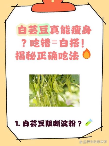 白芸豆怎么吃减肥效果最好_饭前还是饭后-第1张图片-山城妙识