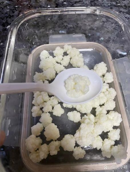 雪莲菌泡牛奶有什么危害_长期饮用副作用-第2张图片-山城妙识