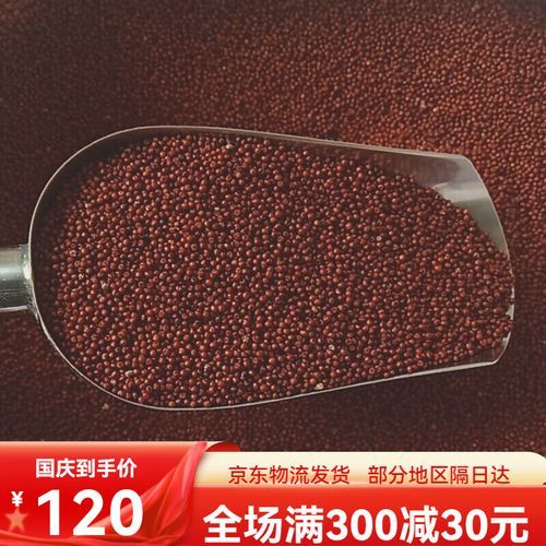 龙爪粟米图片_龙爪粟米长什么样-第3张图片-山城妙识