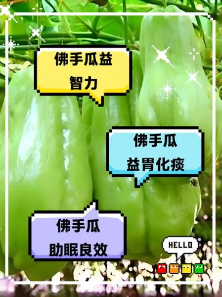佛手瓜的功效与作用_佛手瓜的营养价值高吗-第1张图片-山城妙识