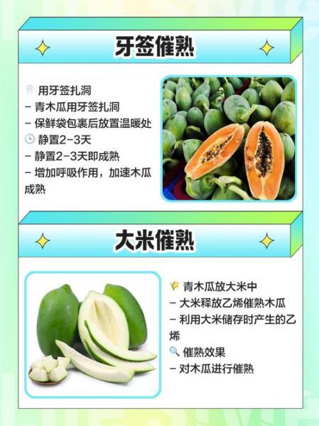 青木瓜怎么催熟最快_青木瓜催熟最快方法-第3张图片-山城妙识 青木瓜怎么催熟最快_青木瓜催熟最快方法-第3张图片-山城妙识