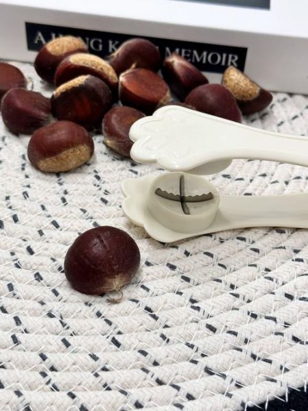 锥栗怎么开口_锥栗开口最简单的方法-第1张图片-山城妙识