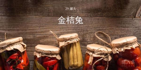 金桔兔怎么养_金桔兔价格多少钱一只-第1张图片-山城妙识