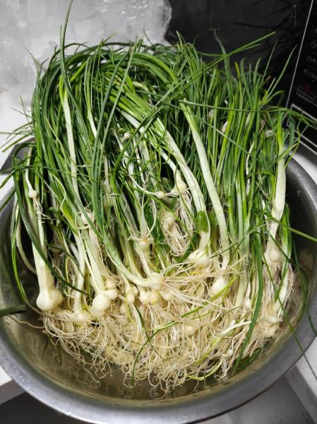 薤白主治什么病_薤白能治哪些病-第2张图片-山城妙识