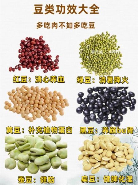 豆类名称大全_100种豆类图片怎么认-第3张图片-山城妙识