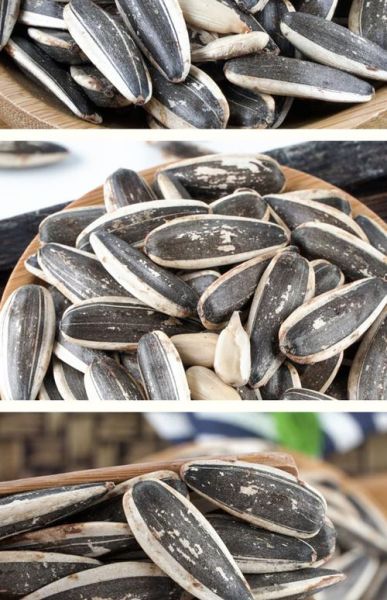 香瓜子图片怎么拍好看_香瓜子图片拍摄技巧-第2张图片-山城妙识