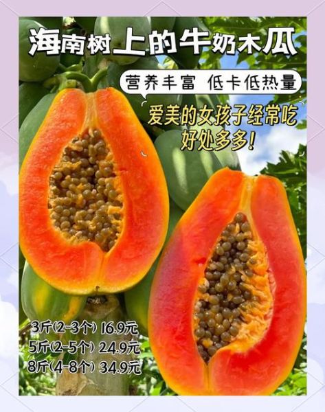 红心木瓜热量高吗_红心木瓜怎么吃最营养-第1张图片-山城妙识 红心木瓜热量高吗_红心木瓜怎么吃最营养-第1张图片-山城妙识