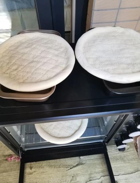 在家做披萨用什么面粉_披萨面团怎么发酵-第1张图片-山城妙识