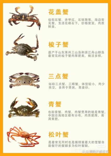 螃蟹帮是什么_螃蟹帮如何加入-第2张图片-山城妙识