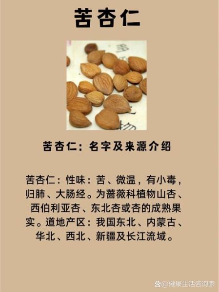 苦杏仁怎么吃安全_苦杏仁怎么制作才不苦-第1张图片-山城妙识