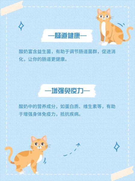 多喝酸奶有什么好处_酸奶对身体有哪些益处-第3张图片-山城妙识