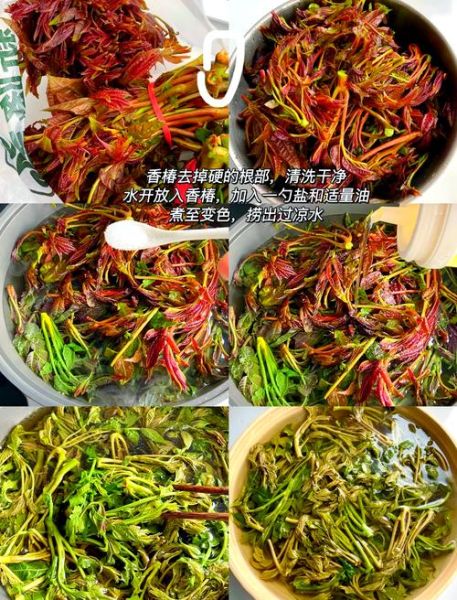 香椿怎么做好吃_香椿做法大全集-第3张图片-山城妙识