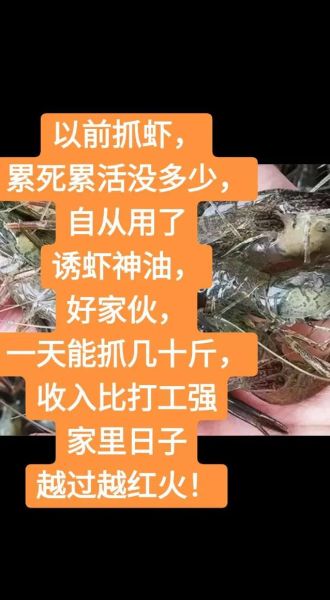 河虾怎么抓_抓河虾最简单的方法-第2张图片-山城妙识