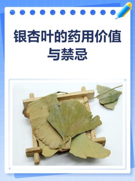银杏叶片能长期吃吗_长期吃银杏叶片安全吗-第2张图片-山城妙识