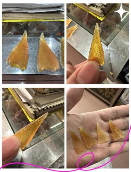 鱼翅真实图片_鱼翅真假怎么辨别-第1张图片-山城妙识