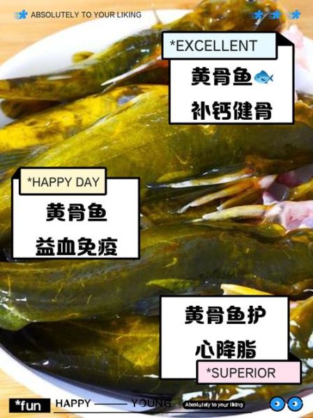 黄颡鱼和黄骨鱼的区别_哪个更好吃-第1张图片-山城妙识