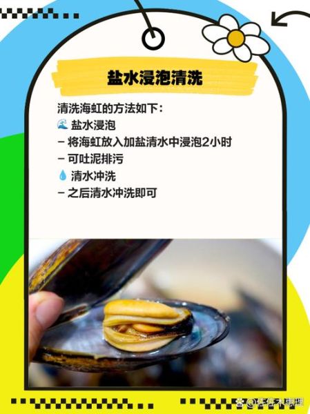 海虹怎么清洗_海虹怎么保存-第2张图片-山城妙识 海虹怎么清洗_海虹怎么保存-第2张图片-山城妙识